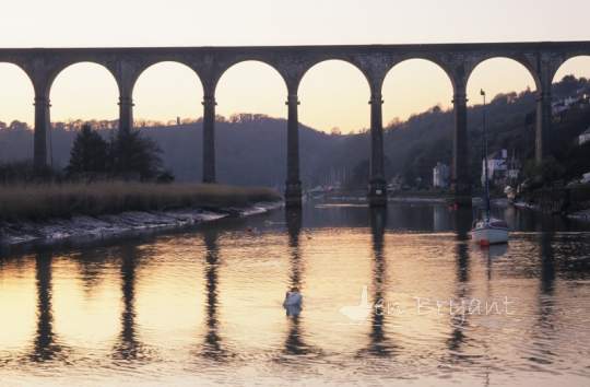 The Tamar Valley - Dartmoor & Devon Landscape Photography by Jen Bryant